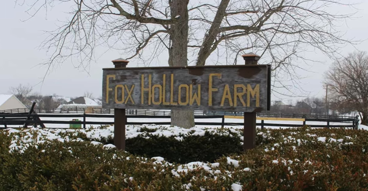 Thousands of Human Bones Found on a Serial Killer’s Farm – The Chilling ...