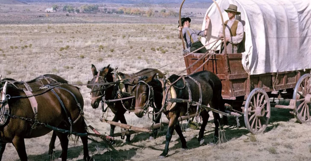 The Oregon Trail: 9 Facts That Reveal the Hardships and Surprises Along ...