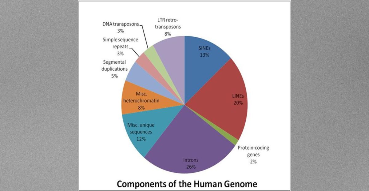 New Fossil Discovery Challenges the Origin of Humans – Did We Really ...