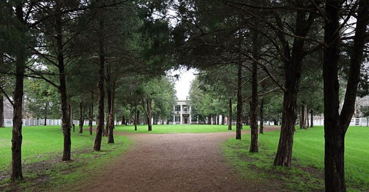 Archaeologists Uncover Mass Burial Site at Andrew Jackson’s Tennessee ...