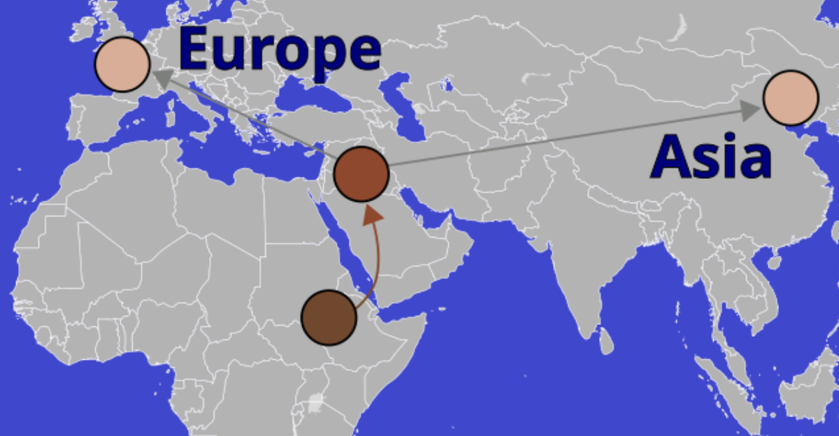 New Fossil Discovery Challenges the Origin of Humans – Did We Really ...
